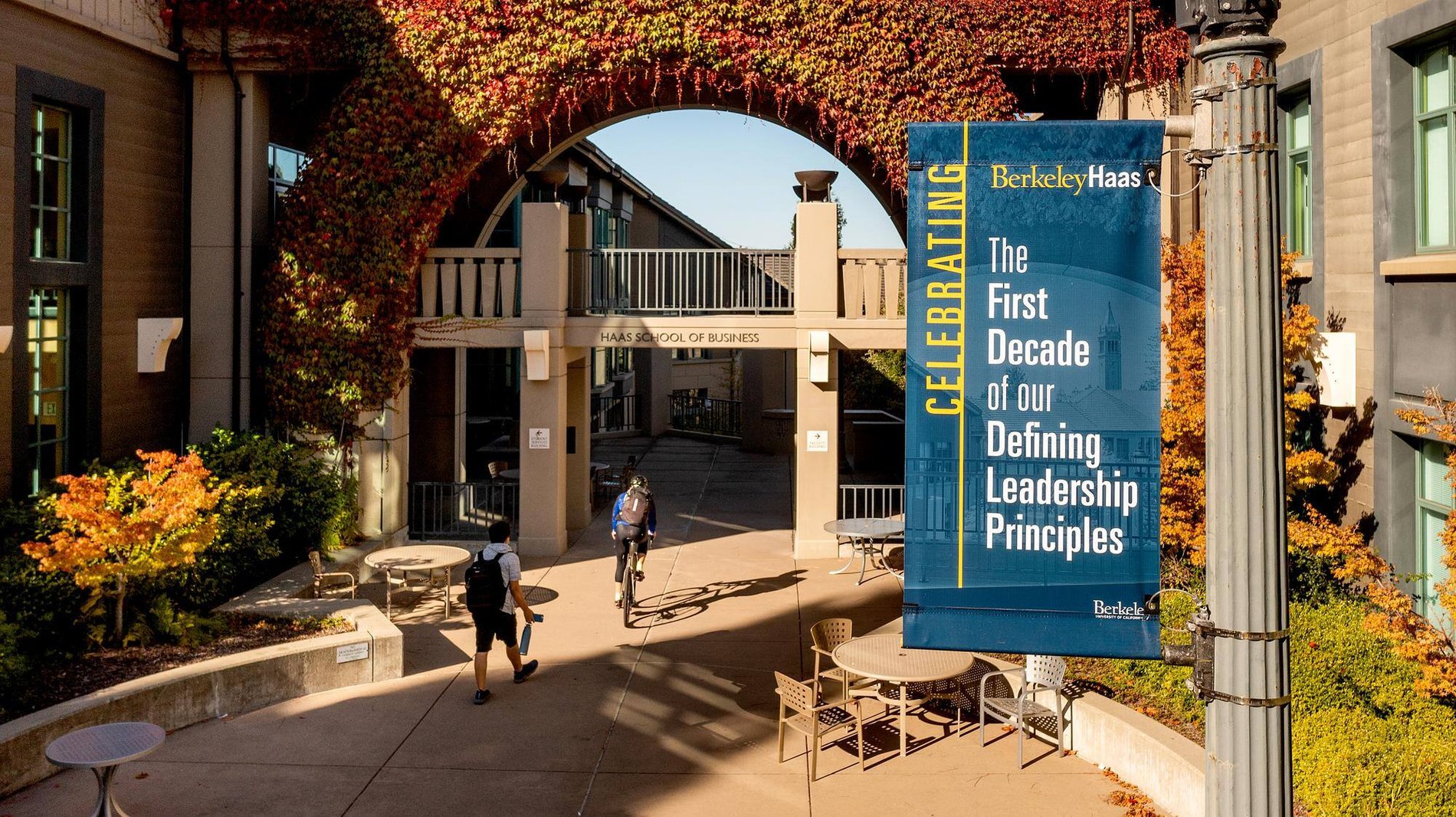 EMBA Admission Requirements | Executive MBA | Berkeley Haas